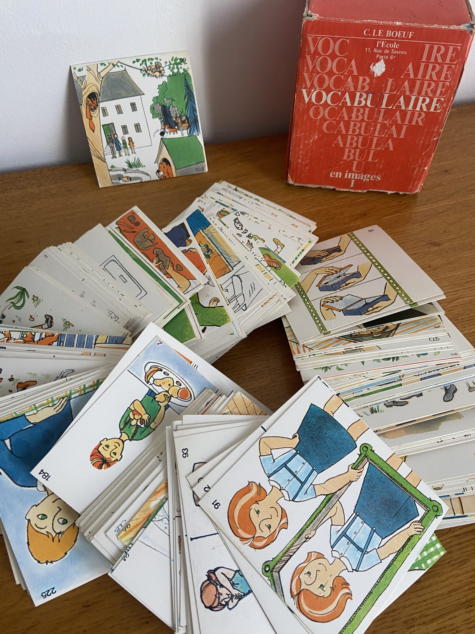 Cartes De Vocabulaire Edition Vintage C. LE BOEUF (environ 300)